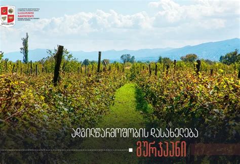 ადგილწარმოშობის დასახელება „გურჯაანი“ „საქპატენტშია“ რეგისტრირებული Knews Ge