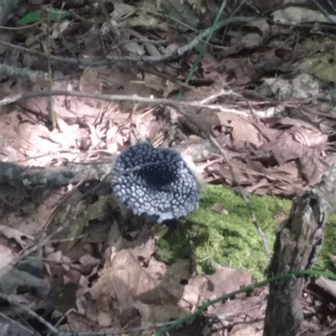 Dude I D Fuck Ramona Flowers An Ep About Love And Sadness A C E