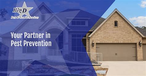 Plano Tx Pest Control Big D Pest And Termite