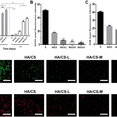 A Schematic Illustration Of Lbl Self Assembly Dental Implants Lbl