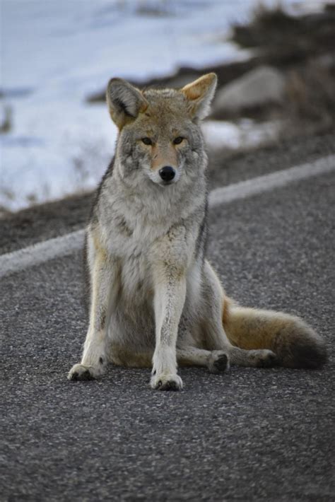 Feb 23 2023 Feature Photo Exponent