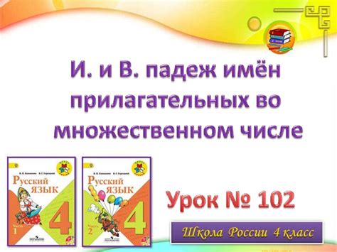 Именительный и винительный падеж у имен прилагательных презентация онлайн