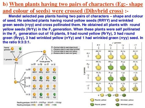 Heredity And Evolution Class 10th Cbse