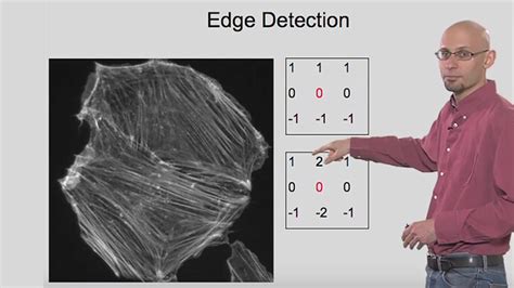 help with creating and using masks in imagej image analysis image
