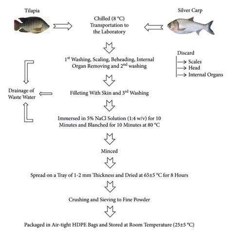 Flow Chart Of Fish Powder Production Download Scientific Diagram
