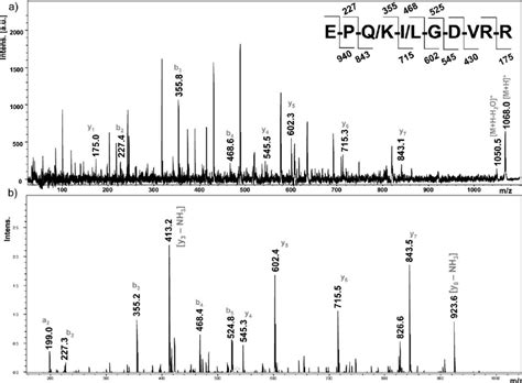 A Maldi Ms Ms Spectra Of A Tryptic Peptide With M Z 1068 6 And B Download Scientific