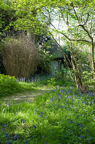 Thatched Summer House Blakenham Woodland Garden Suffolk