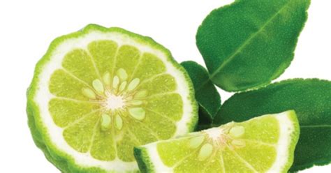 BERGAMOT 佛手柑精油
