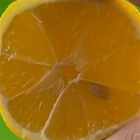 Easy And Simple Tricks Youtube