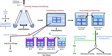 Graphical Summary Of Select Experiments Download Scientific Diagram