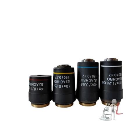 Laboratory Compound Binocular Microscope At ₹ 1400000 Binocular