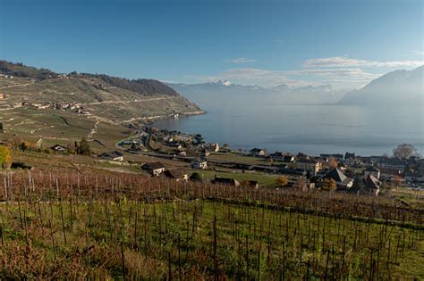 산 포도원 호수가 있는 풍경 Lavaux 포도원 건물 및 제네바 호수 0명에 대한 스톡 사진 및 기타 이미지 0명 건축 건축물 Istock