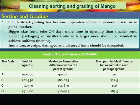 Cleaning Sorting And Grading Of Mango 1 Ppt