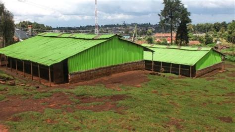 Us Says Ifc Covering Up Sex Scandal In Kenya Schools Somali Times