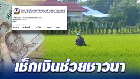 เฮ ครม ไฟเขียว ประกันรายได้ข้าว ไร่ละ 1 000 บาท ชาวนาตรวจสอบสิทธิได้เลยที่นี่