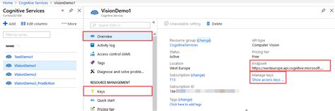 Blogatworkat First Steps With The Microsoft Vision Api