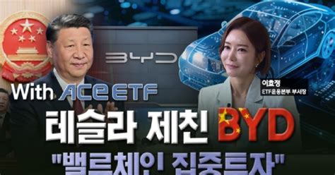 테슬라 제친 Byd배터리·ai 밸류체인 분산투자 미다스의 손