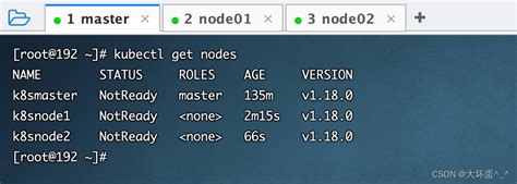 第03讲：使用kubeadm搭建k8s单master集群方案flanne下载 Csdn博客