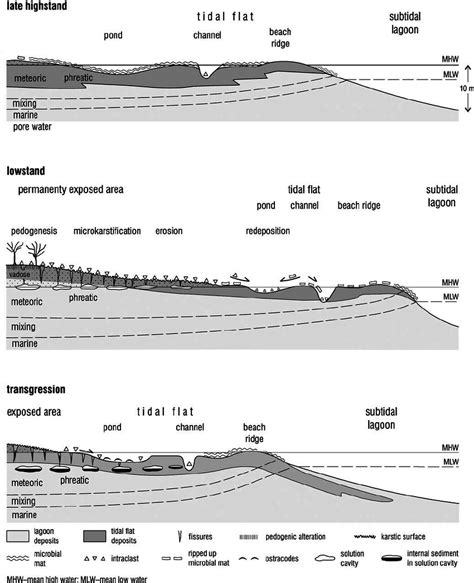 Depositional Model For The Late Highstand Tidal Flat Progradation Download Scientific Depositional Model For The Late Highstand Tidal Flat Progradation Download Scientific