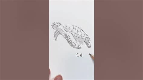 거북이 그리기 Youtube