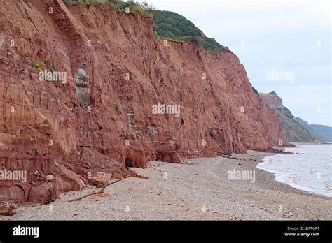 The Red Jurassic Cliffs By The East Beach At Sidmouth England The