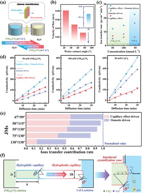 A Schematic Diagram Of The Two‐pool Infiltration And Capillarity Download Scientific Diagram