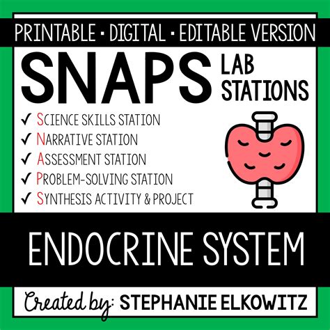 Endocrine System Lab Stephanie Elkowitz