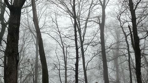 Will Byers Hyperfixation Camel Casing Tumblr Blog Tumlook