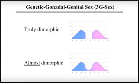 Sex LGBTQIA Wiki