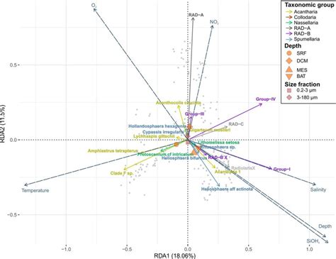 Redundancy Analysis Rda Triplot Showing The Impact Of Environmental