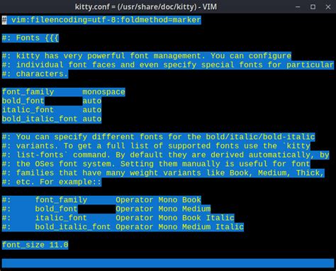 Vim Background Not Displayed Correctly · Issue 4526 · Kovidgoyalkitty