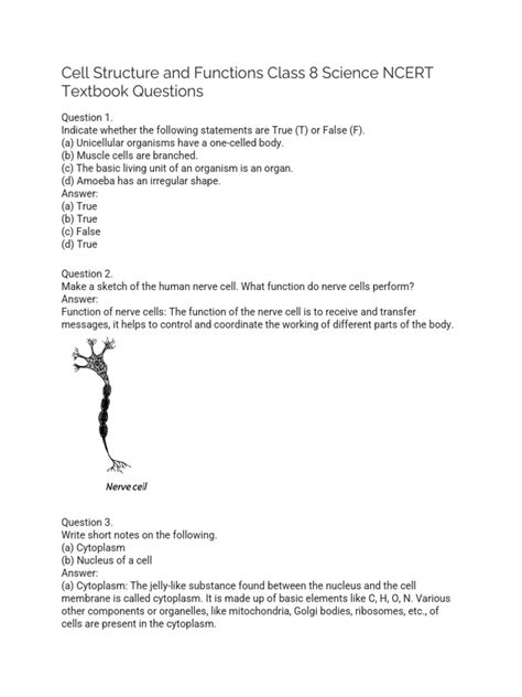 Cell Structure And Functions Pdf Cell Biology Cytoplasm