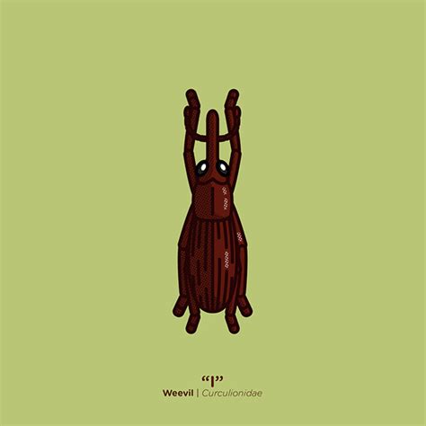 The Smallest Alphabet On Behance The Smallest Alphabet On Behance