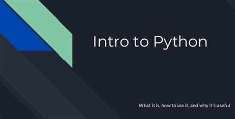 coding in python basics 12th grade quiz wayground