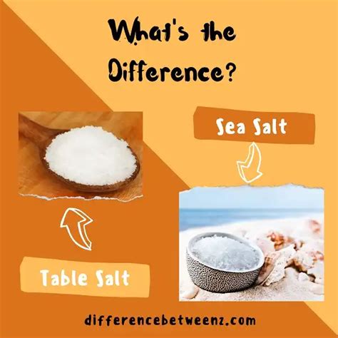 Difference Between Table Salt And Sea Salt Difference Betweenz