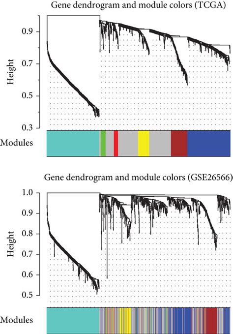 Weighted Gene Correlation Network Analysis To Screen Gene Modules A Download Scientific