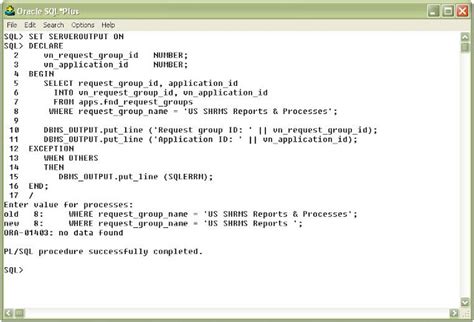 Oracle Apps Quick Reference How To Use The Ampersand Symbol In Plsql