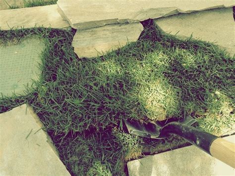 How To Lay A Flagstone Walkway In An Existing Lawn