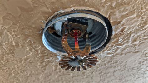When To Call For Fire Sprinkler Repair Common Signs Of Damage Shutgun
