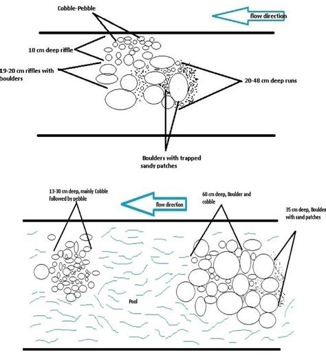 Substrate Description At Station S1 And S2 Along With Flow Direction Download Scientific Diagram