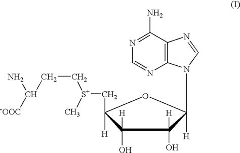 Livescience S Adenosylmethionine And Sinefungin