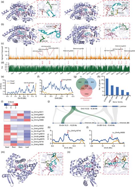 Herbicide Selection Of Polyploidization‐retained Herbicide Resistance Download Scientific