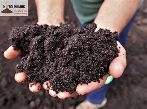 Soliditech Start This Year Off Properly By Subscribing To The Solid