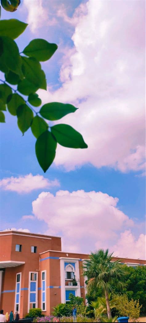 Aimen Khalid On Linkedin Article Writingcommunity Writing Writer