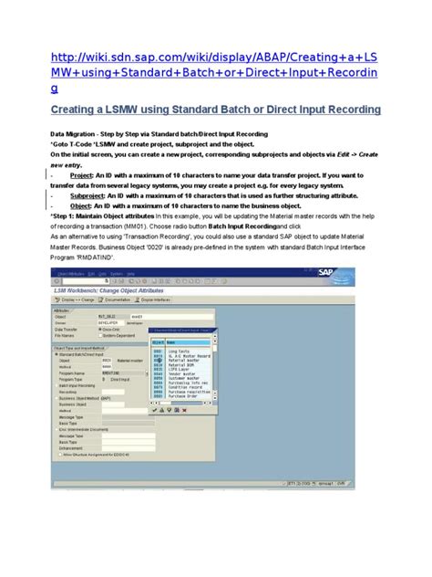Creating A Lsmw Using Standard Batch Or Direct Input Recording Pdf