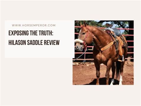 Exposing The Truth Hilason Saddle Review Horse Emperor