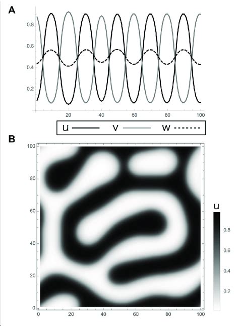 Turing Pattern Obtained By A Reaction Diffusion Model In Eqs 1 2 Download Scientific
