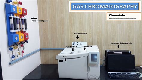 Chrominfo Principle And Procedure Of Gas Chromatography
