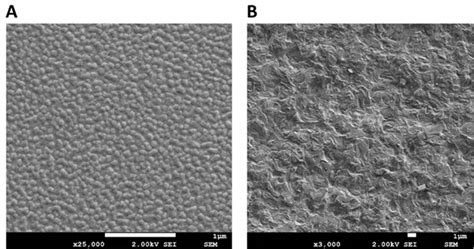 A Cryo Sem Micrographs Of Formulation N3 Labrasoltranscutol System