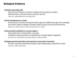 Does The Neocortex Use Grid Cell Like Mechanisms To Learn The Structure Of Objects By Jeff